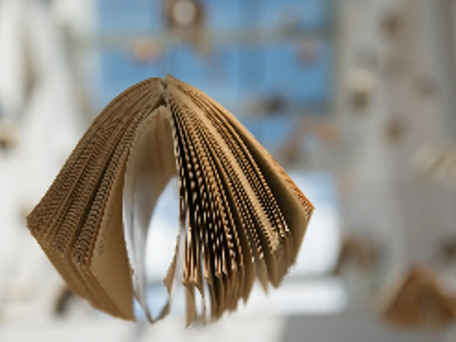 Library | Town of Grand Valley